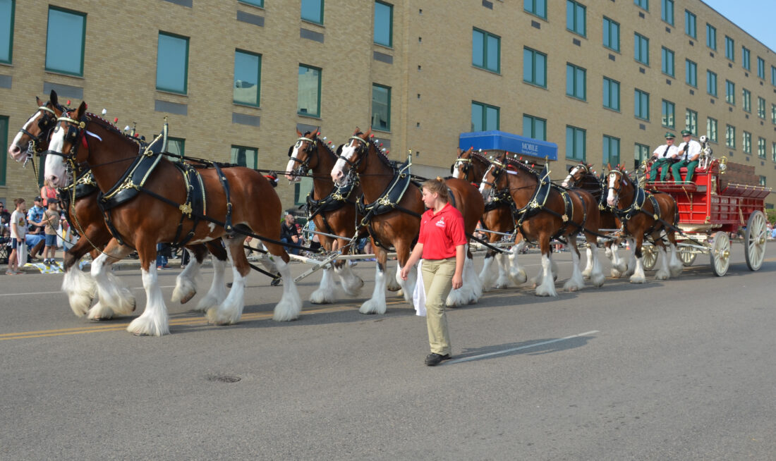 ND State Parade winners announced | News, Sports, Jobs - Minot Daily News